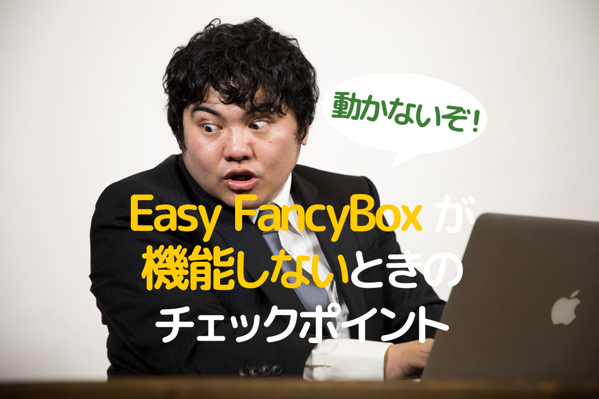  Easy FancyBox 